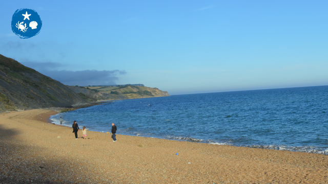 Family Weekend Breaks | PGL Family Adventures