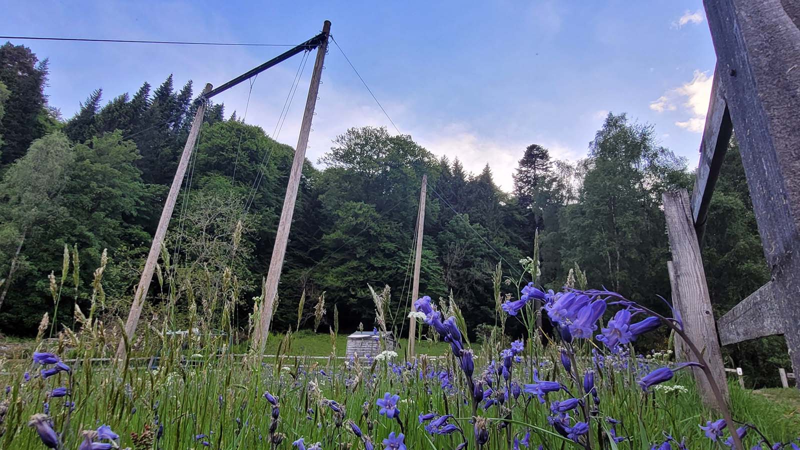 Dalguise Adventure Centre, Perthshire - Primary School Trips