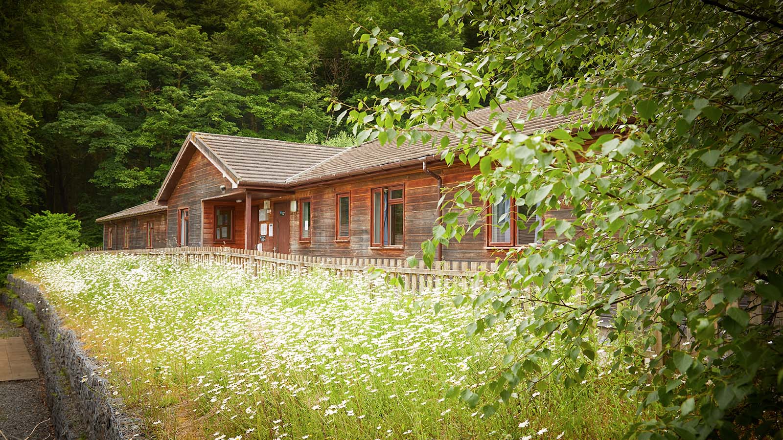 Dalguise Adventure Centre, Perthshire - Primary School Trips